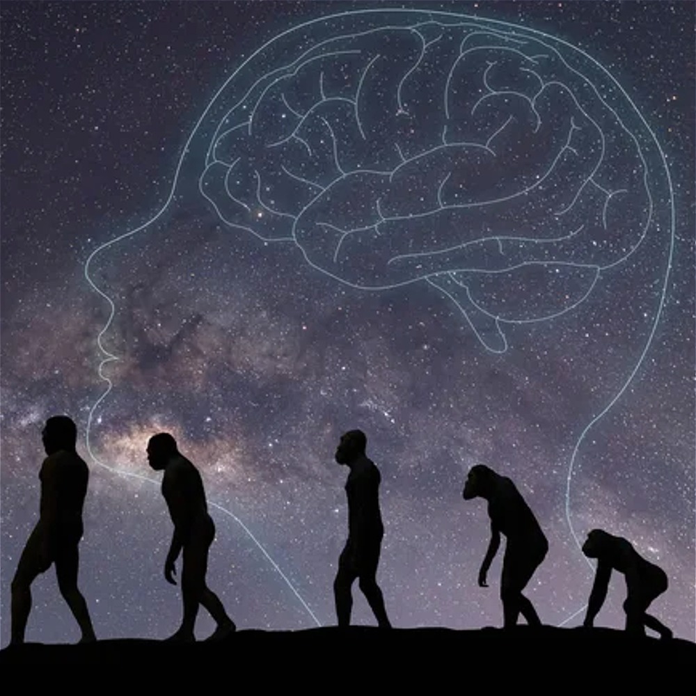 Human Evolution Discovery Stuns Scientists: We Were Off By 40 Million ...