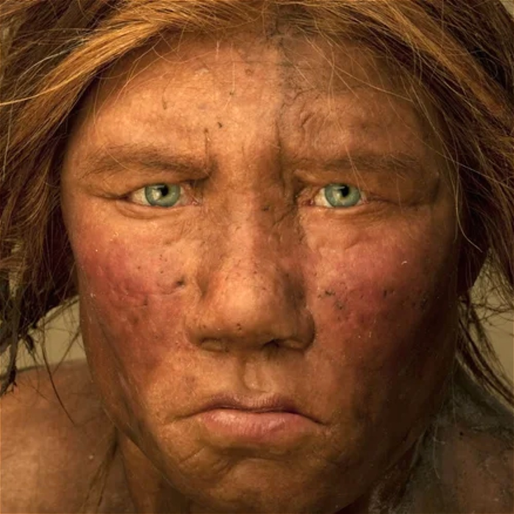 The Dinosaur Timeline: 10 Key Species That Ruled in Each Prehistoric ...