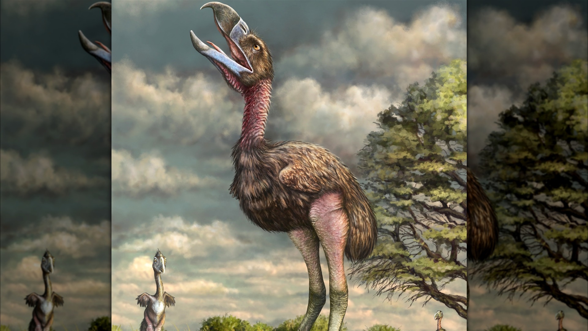 These Prehistoric Nightmare Birds Were 8 Feet Tall | Flipboard