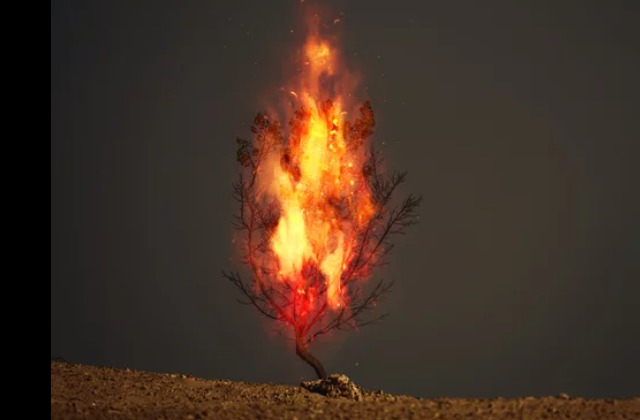 The Bible's Burning Bush Explained | Flipboard